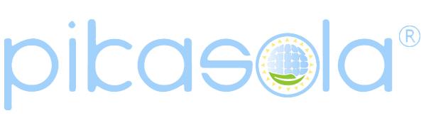 Amazon.com : Pikasola MPPT Wind Turbine Charge Controller, 12V/24V Auto ...