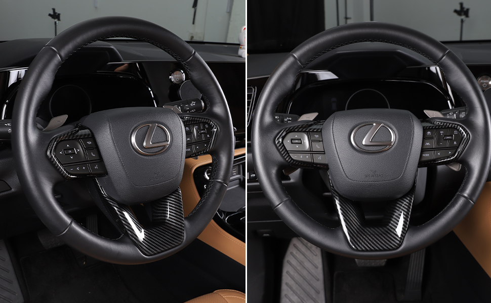 Amazon.com: DRAGON ART Compatible with 2023 2024 for Lexus RX350 RX350h RX 500h NX 250 NX 350 NX ...