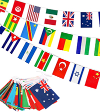 Amazon.com : 100 Countries String Flag International Bunting Banners ...