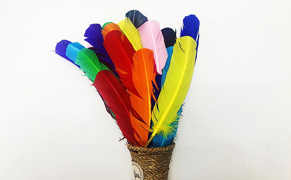 Amazon.com: 24Pcs Colorful Turkey Feathers 10-12 in Long,12 Colors ...