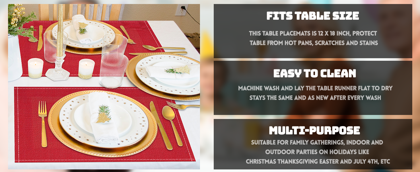 Amazon.com: Niviy Christmas Placemats Set of 4, 12x18 Inch Rectangular ...