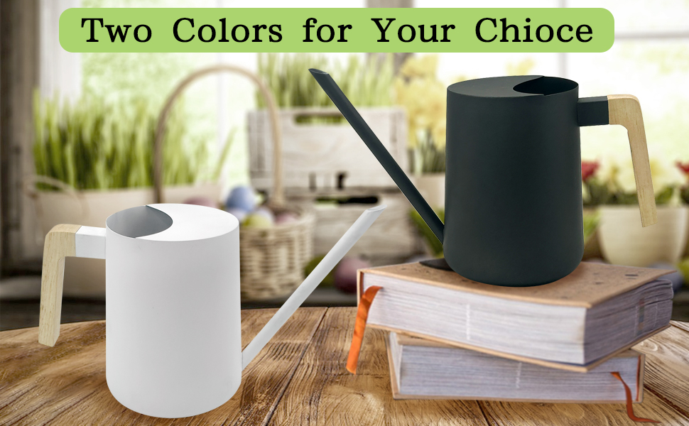 Amazon.com : kathson Watering Can for Indoor Plants, 35oz/1000ml Small Watering Can, Plant ...