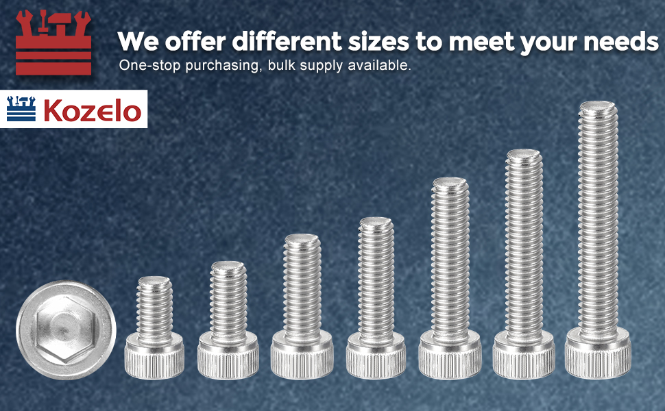 Kozelo 600pcs Socket Head Cap Screws Bolts Nuts Assortment Kit - [M2/M3x6/8/12/16/20mm] 304 ...