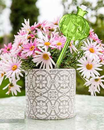 Amazon.com: HYH Plant Watering Globes 4 Pack Self Watering Planter Spikes Insert for Indoor ...