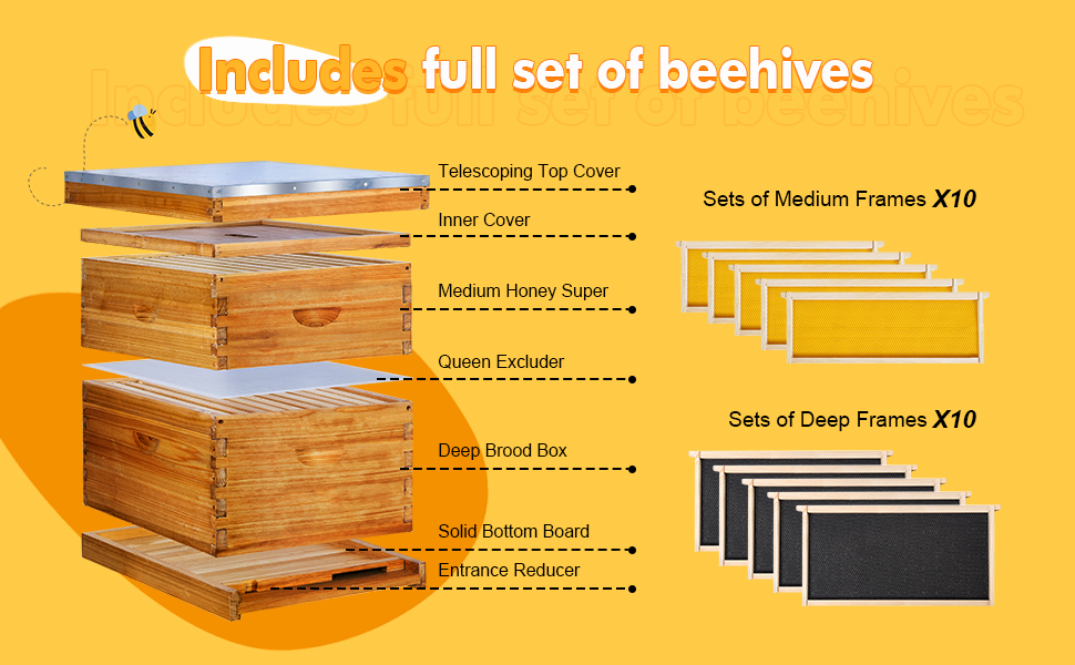 Amazon.com : BEEKNOWS 10 Frame Langstroth Beehive Kit Dipped in 100% Beeswax Bee Hives with 1 ...