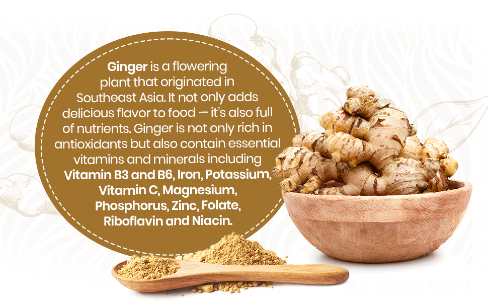 Organic Ginger Supplement 1300mg (2 Ginger Capsules Per Serving) - Soil ...