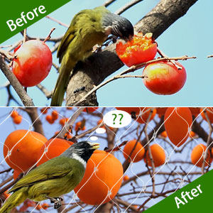 VASLON Anti Bird Netting 33 x 16 Ft Nylon Anti Bird Mesh Net Reusable Protective Garden Netting ...