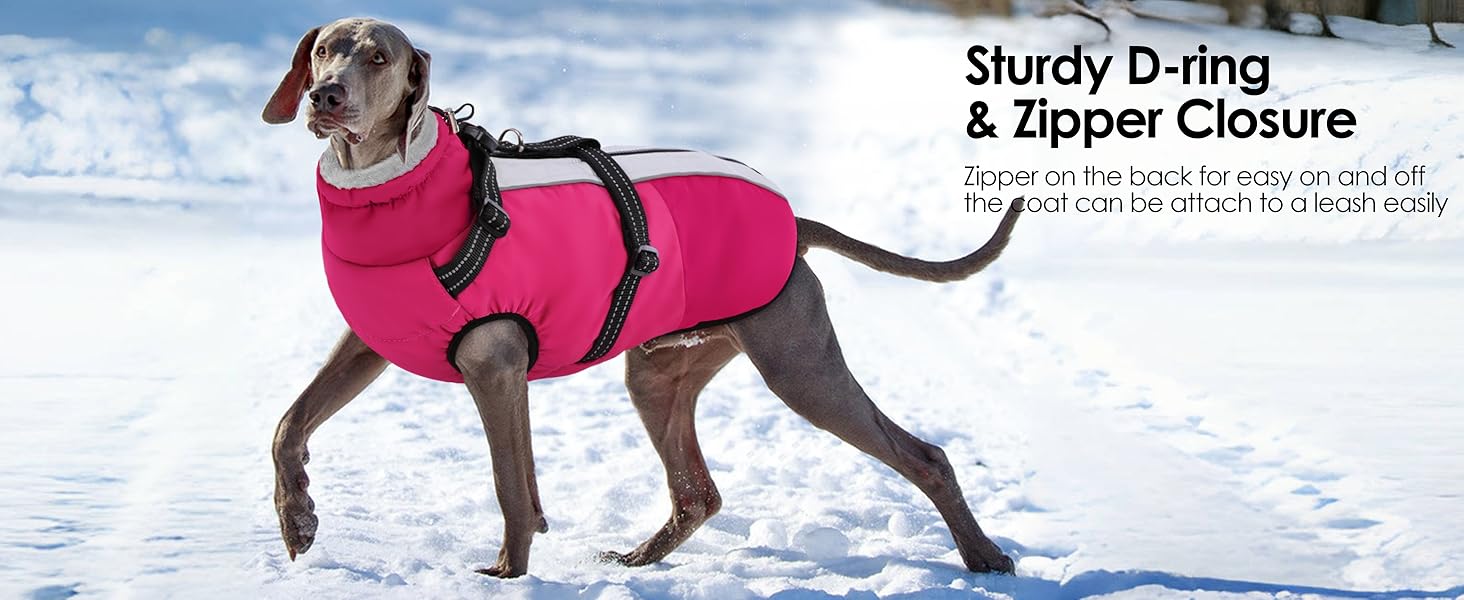 Amazon.com : AOFITEE Dog Jacket, Warm Dog Winter Coat with Harness Built-in, Waterproof Pets ...