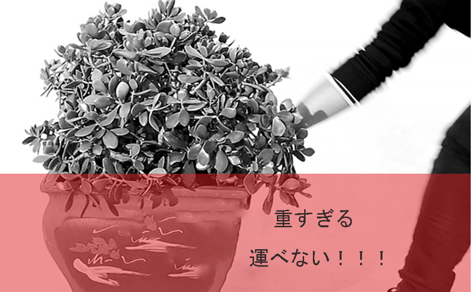 Amazon.co.jp: KoiFlow 大型植木鉢用移動カート キャスター付き 手押し式 組みたて簡単 プランター搬送用手押し台車 強力 業務用 花屋 大葉伞状盆栽移動カート 運ぶ 盆景園 ...