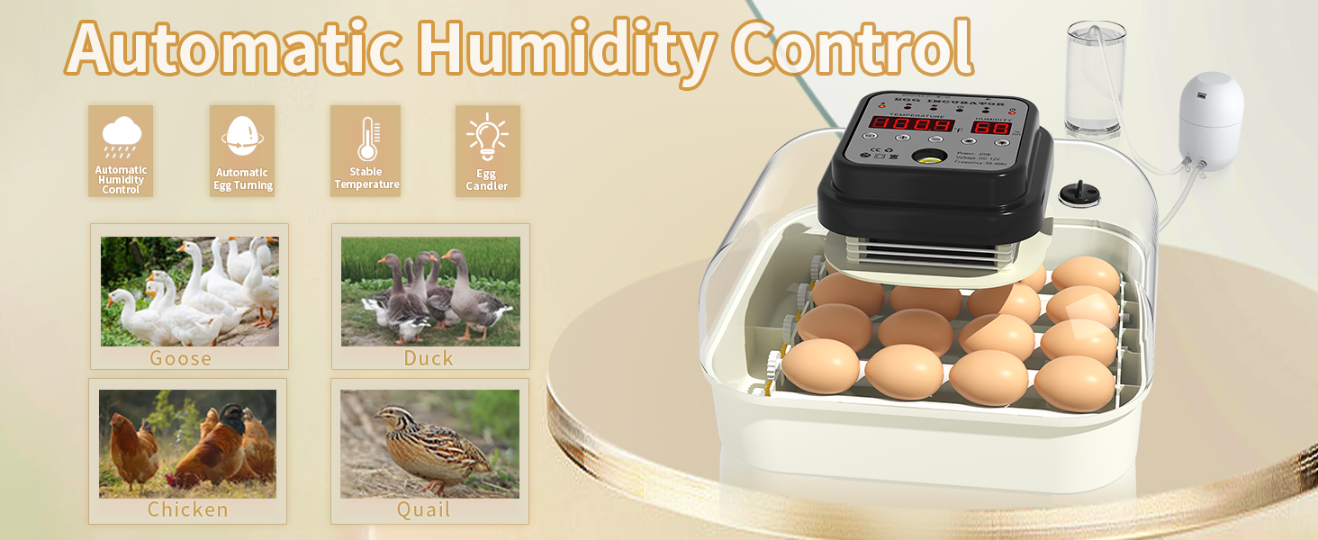 Amazon.com: Hethya Incubators for Hatching Eggs, Eggs Incubator with Automatic Egg Turning and ...