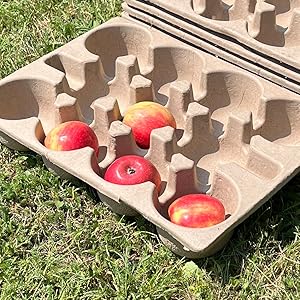 Paper Fibre Apple & Fruit Storage Trays (Set of 5) : Amazon.co.uk: Home ...