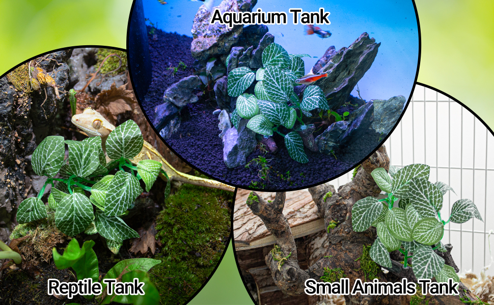 Amazon.com: REPTI ZOO Reptile Plants, Halenia Elliptica Artificial ...