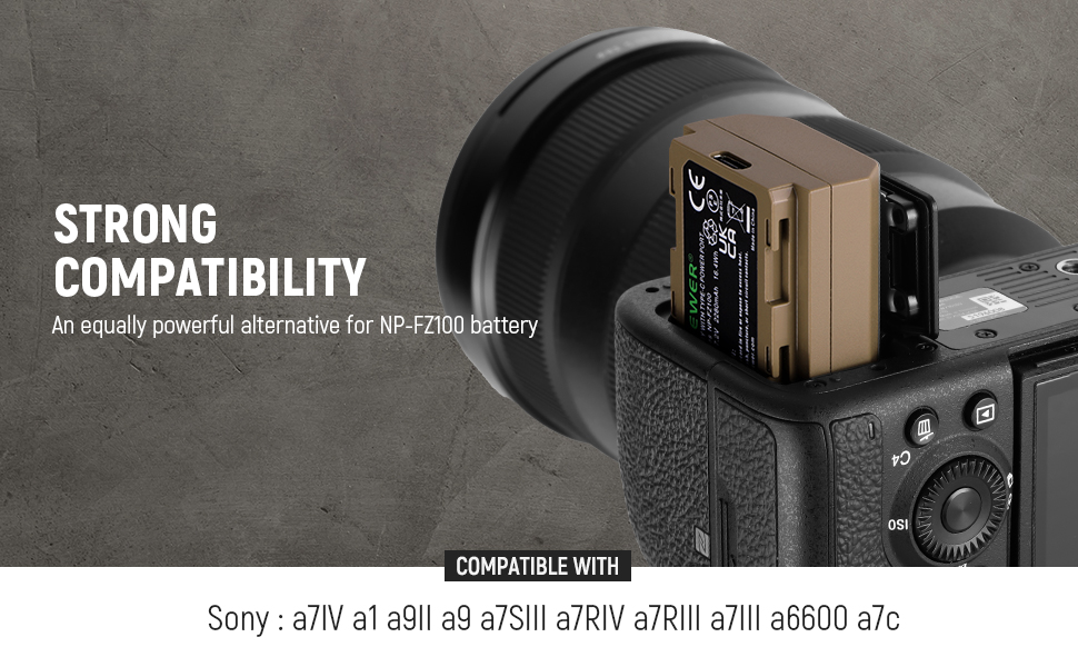 NEEWER 2400mAh NP-FZ100 Replacement Battery, Rechargeable Camera Battery with USB Type C 2.5 Hrs ...