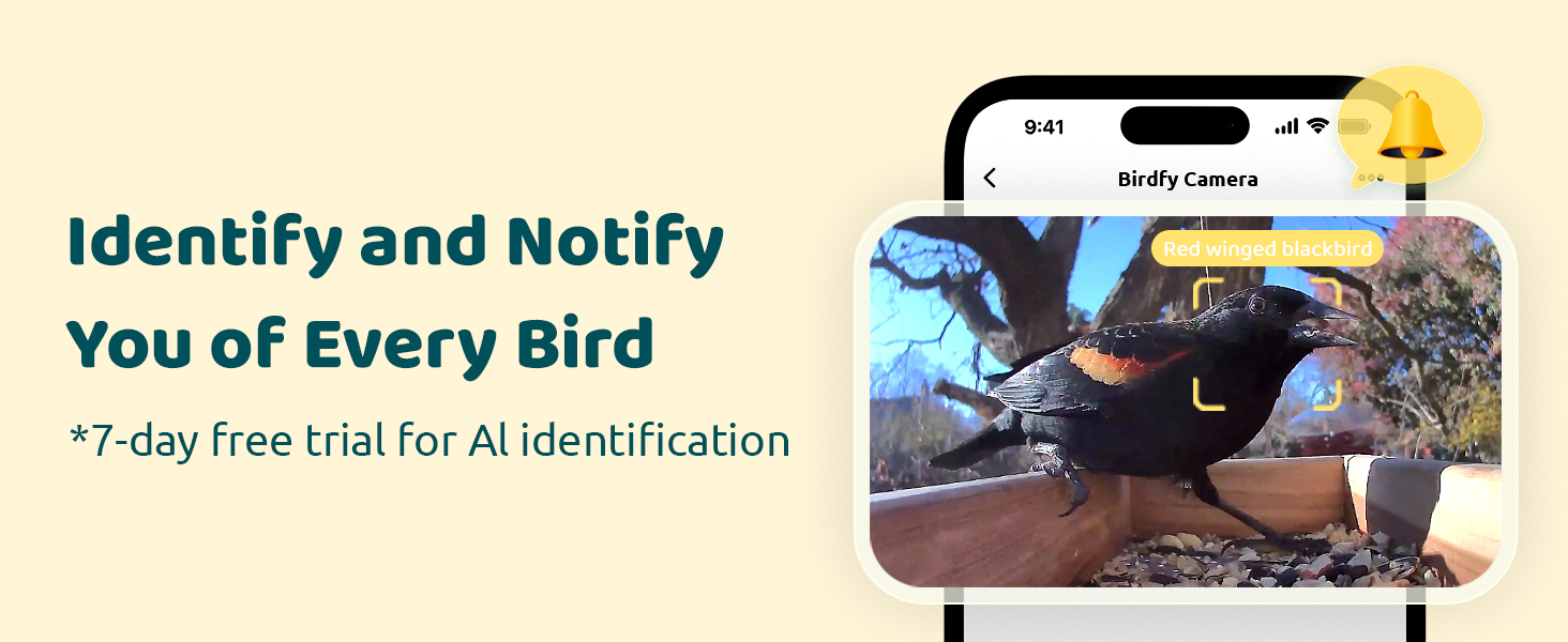 Amazon.com : NETVUE by Birdfy Smart Bird Feeder Camera, Adjustable Brackets, Auto Bird Video ...