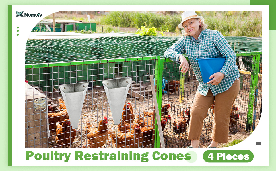 Amazon.com : Mumufy 4 Pcs Medium Galvanized Steel Poultry Restraining Cones Flat Back Funnel ...