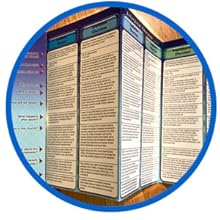 Denominations Comparison Pamphlet: Rose Publishing: 9781890947354: Books - Amazon.ca
