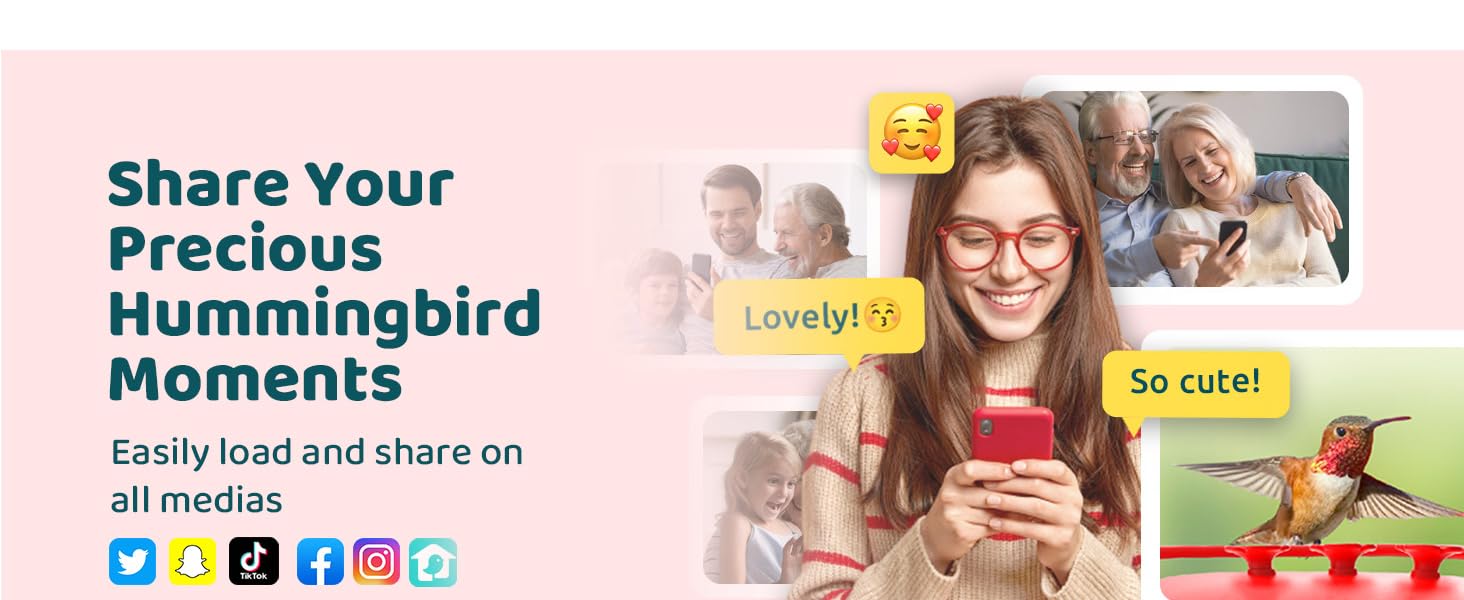 Amazon.com : NETVUE by Birdfy Hummingbird Feeder with 2 Cameras - Dual Smart Cams, 2K HD ...