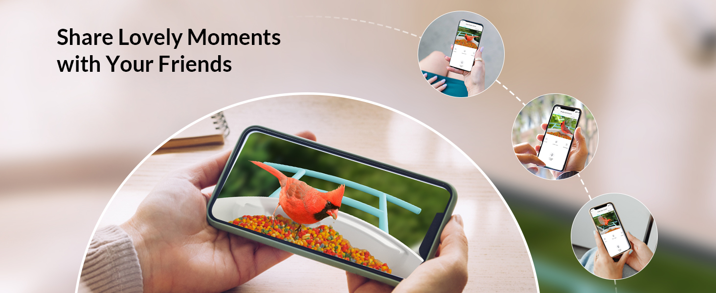 Amazon.com: NETVUE Birdfy Lite- Smart Bird Feeder Camera, Bird Watching Camera Auto Capture Bird ...