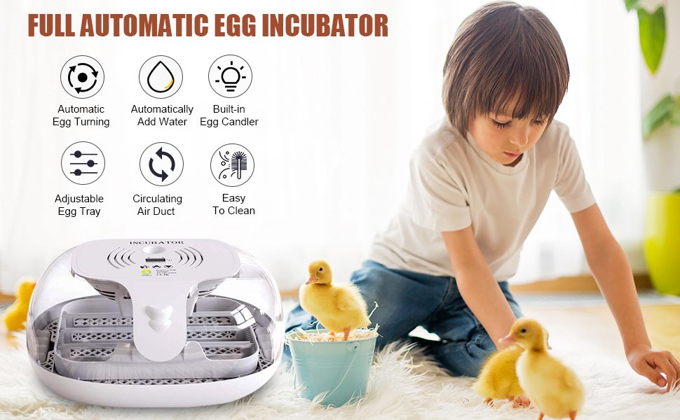 Amazon.com: Losbenco Incubators for Hatching Eggs, 16 Eggs Incubator with Automatic Egg Turning ...