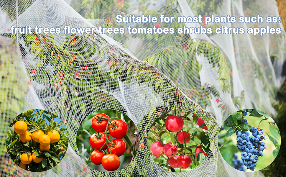 Amazon.com : 3 Pack Fruit Tree Netting 7x6 Ft Garden Netting for Tree Protection Large Tree ...