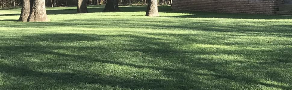 Amazon.com : Outsidepride 25 lb. Combat Extreme Southern Zone Lawn ...