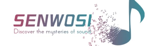 Amazon.com: SENWOSI Profession Wireless Microphone System, UHF Handheld Dual Cordless Mic True ...