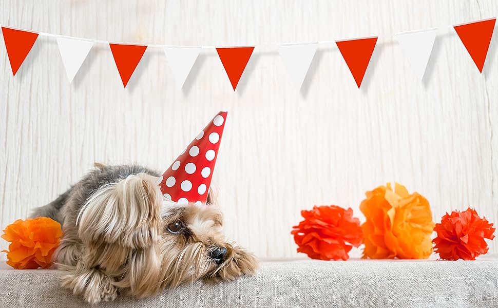 Amazon.com: LZXING 100 Feet Red White Pennant Banner Flags String Party ...