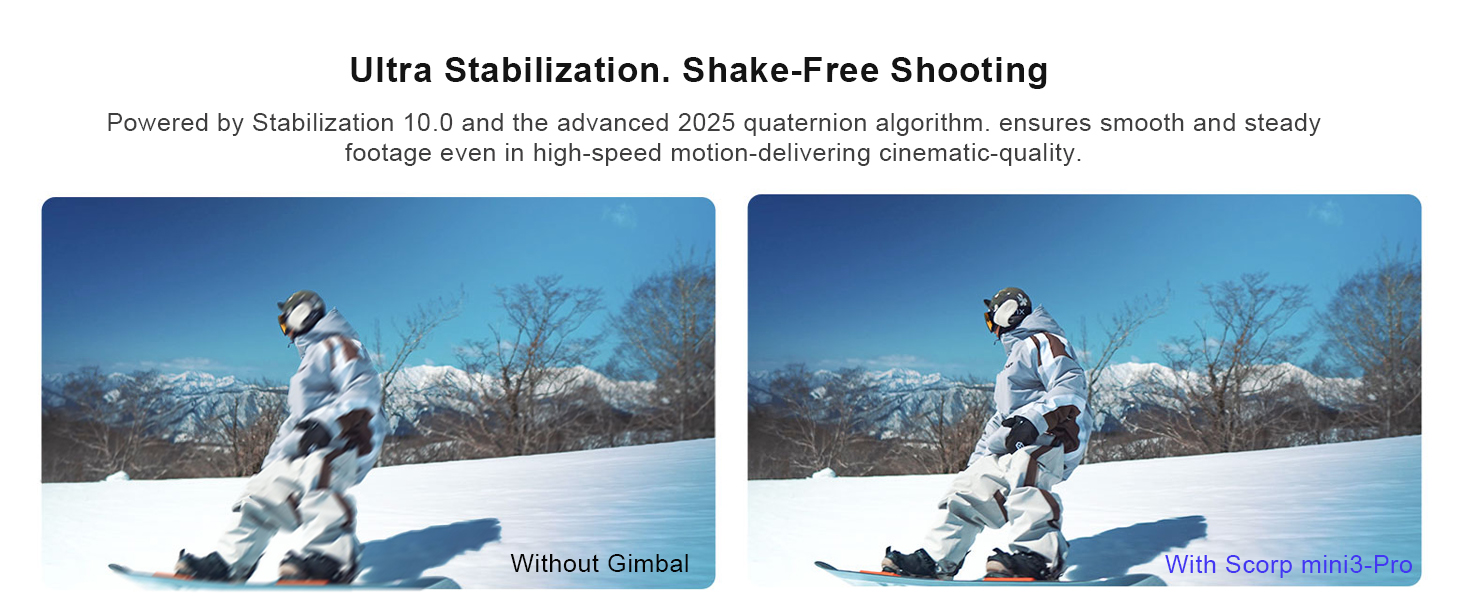 Amazon.com : FeiyuTech SCORP Mini-3-Pro Gimbal Stabilizer for Camera Mirrorless/Compact/Action ...