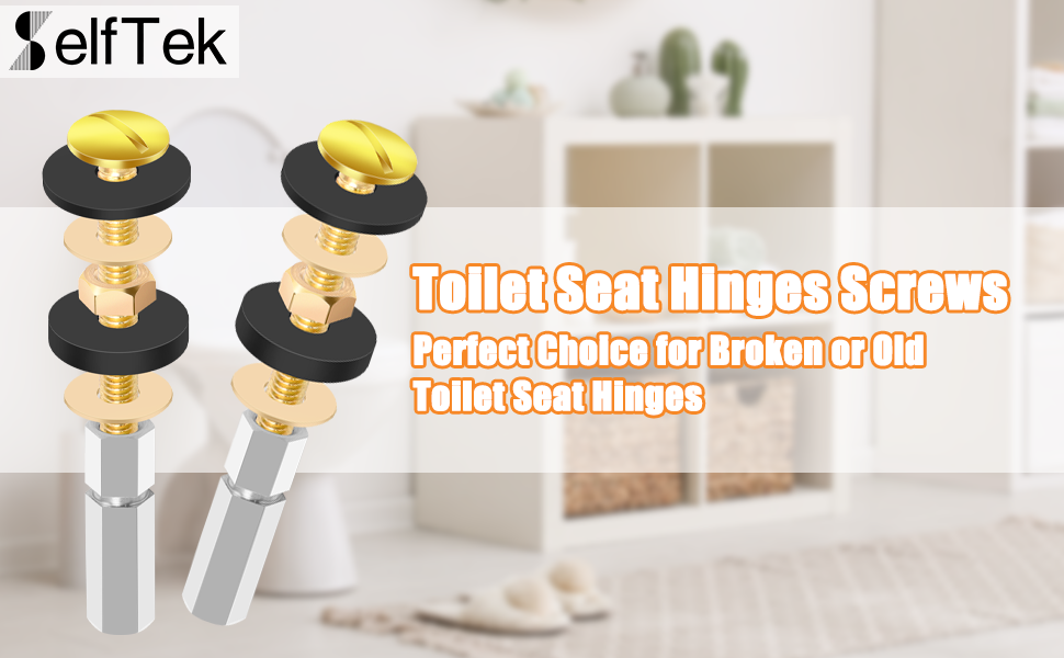 SelfTek 2Pcs Universal Toilet Seat Screws, Heavy Duty Toilet Seat Bolts Set with Extra Long ...