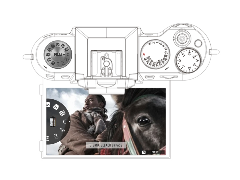 Amazon.com : Fujifilm X-T50 Mirrorless Digital Camera, Bundle with 64GB SDXC Memory Card and ...