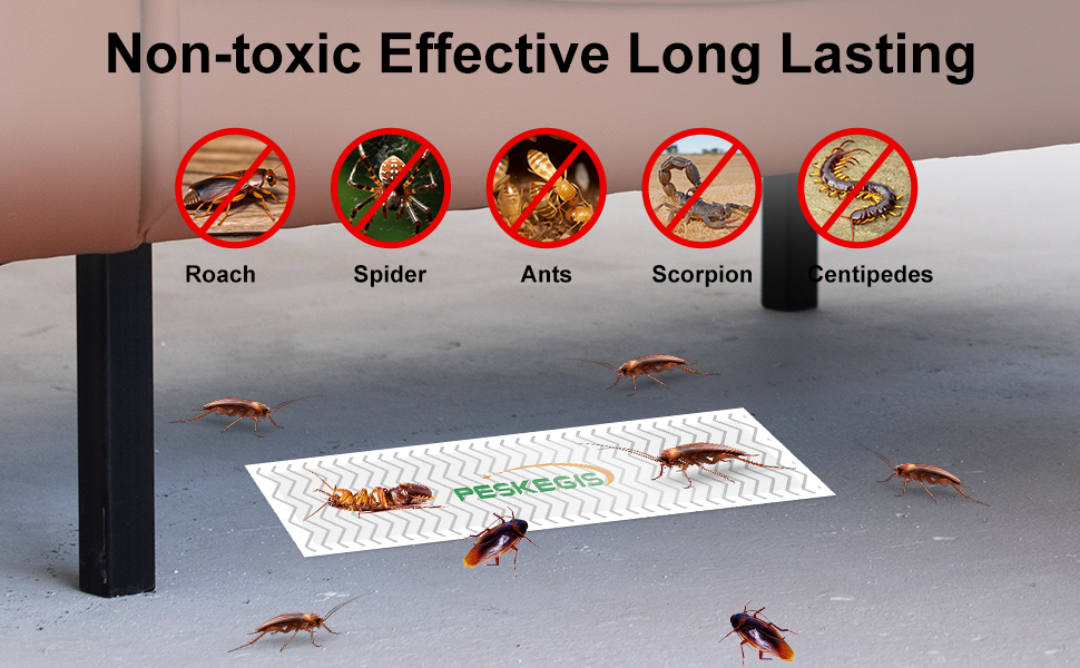 Amazon.com : Roach Killer Indoor for Home, Sticky Glue Cockroach Traps Pre Baited with Fruit ...