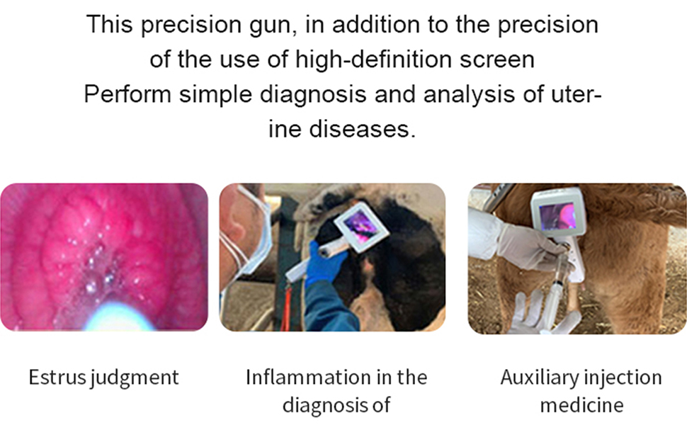 Amazon.com: Gexmil Cow Artificial Insemination Device Cow Visual Endoscope Sperm AI Gun Tools ...