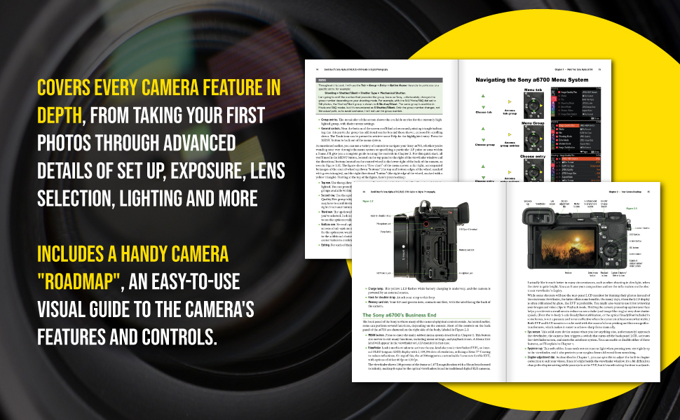 David Busch's Canon EOS R6 Guide to Digital Photography (The David Busch Camera Guide) (The ...