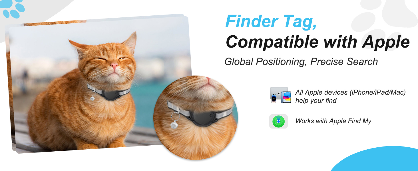 Cat Tracker - Real -Time GPS Tracker for Cats - No Monthly Fee - Works ...