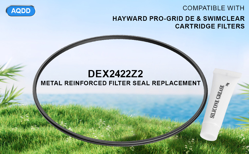 Amazon.com: AQDD DEX2422Z2 Metal Reinforced Seal Replacement for Hayward C2030/C3030 C4030/C5030 ...