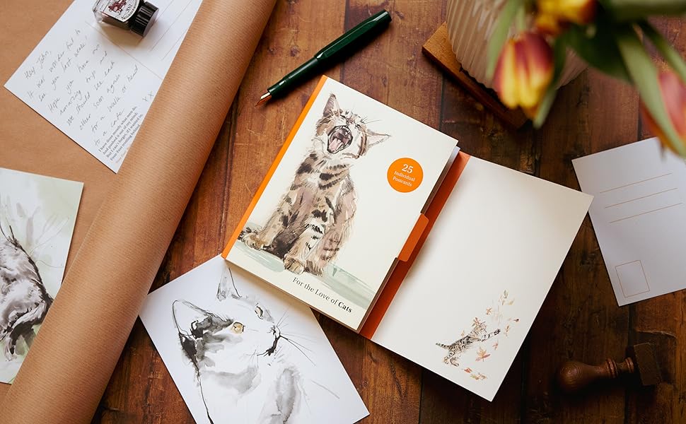 For the Love of Cats: 25 Postcards: Sampson, Ana, Maydock, Sarah ...