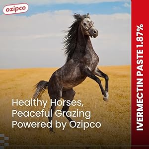 Amazon.com : Ivermectin Horse Paste 1.87% | Apple Flavor – 6.08g Syringe for Equine Use Only Up ...