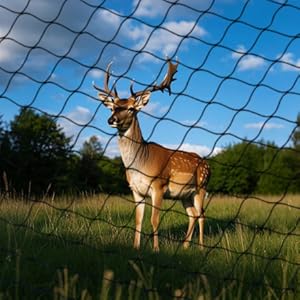 Amazon.com : VBWSL 6 x 50 FT Bird Netting for Garden, 1" Square Mesh Size Heavy Duty Nylon ...