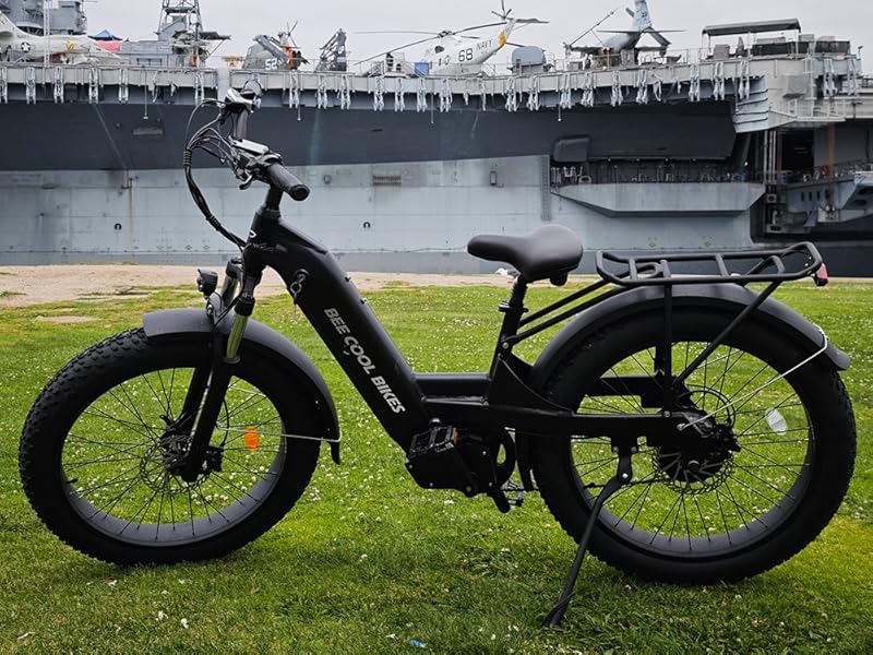 Amazon.com : BEECOOL Bee Pathfinder Step-Thru Long Range Full Suspension Electric Bike, 750W ...