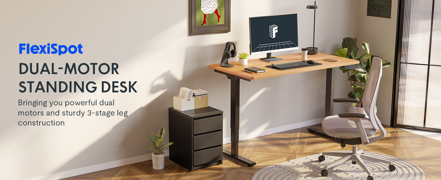 FLEXISPOT Electric Standing Desk E5, Height Adjustable Desk with Whole-Piece Bamboo Board and ...