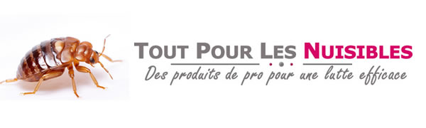 RCI 2000 - Lot de 4 Fogger, aérosol One Shot Anti puces, punaises de lit 150 ML - avec ...