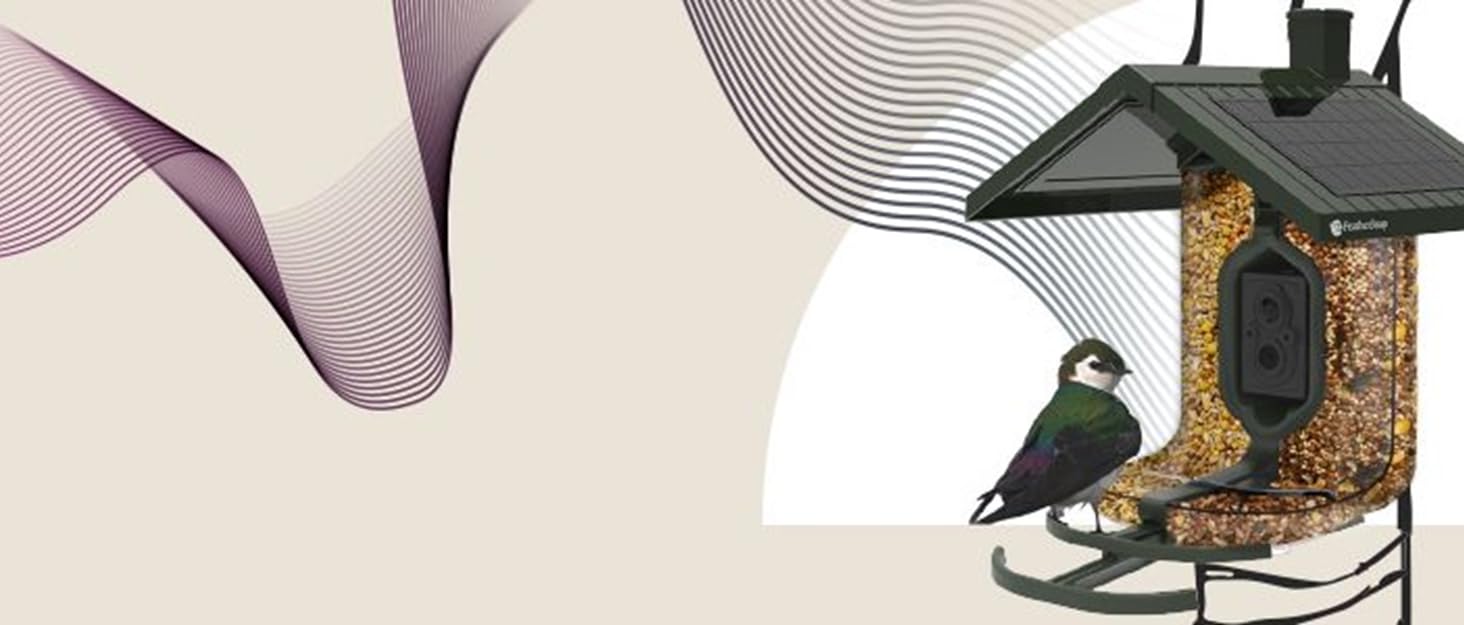 Amazon.com: Feathersnap Smart Bird Feeder with AI Bird Identification & HD Camera – Solar ...