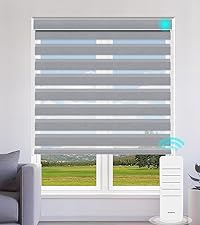 Amazon.com: Changshade Motorized Zebra Roller Shades for Windows Remote Control Smart Blinds ...