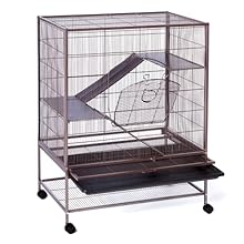 Prevue Hendryx Pet Products Feisty Ferret Home with Stand, Black ...