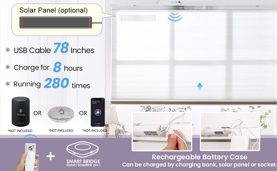 Amazon.com: Graywind Motorized Blackout Day Night Cellular Shades Compatible with Alexa Google ...