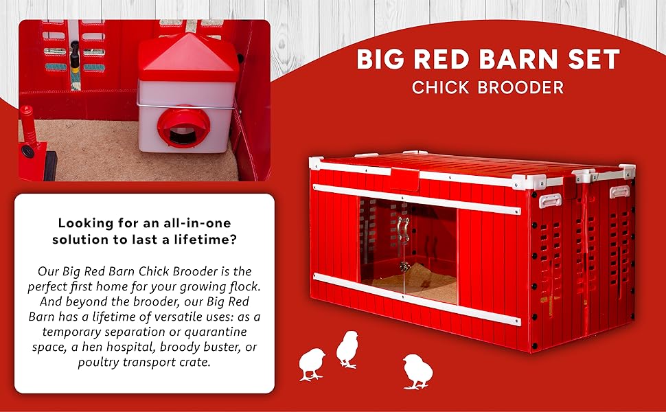 Amazon.com : RentACoop Big Red Barn Chick Brooder Set with Chick ...
