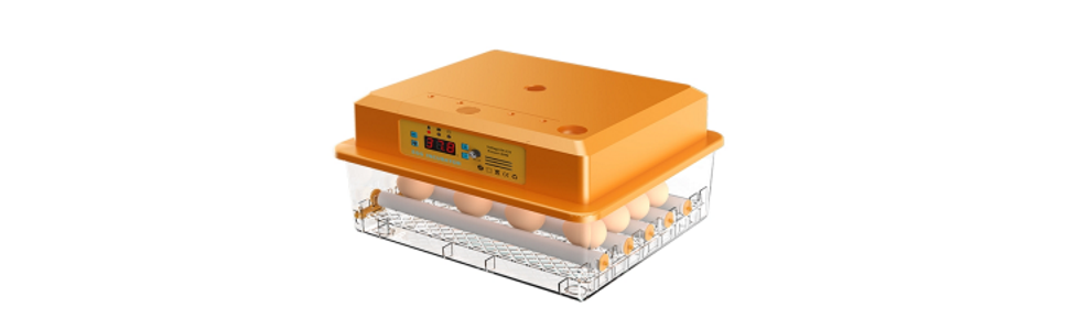 Amazon.com: Hethya 16 Eggs incubators for Hatching Eggs with Automatic Turner Chicken Incubators ...