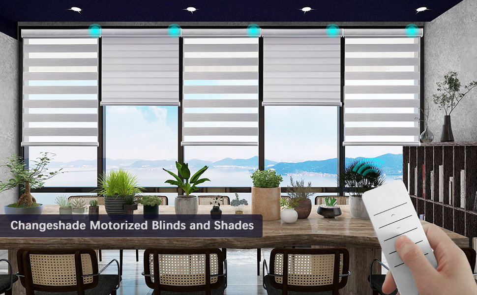 Amazon.com: Changshade Motorized Zebra Blinds for Windows Cordless Blackout, Custom Blinds Zebra ...