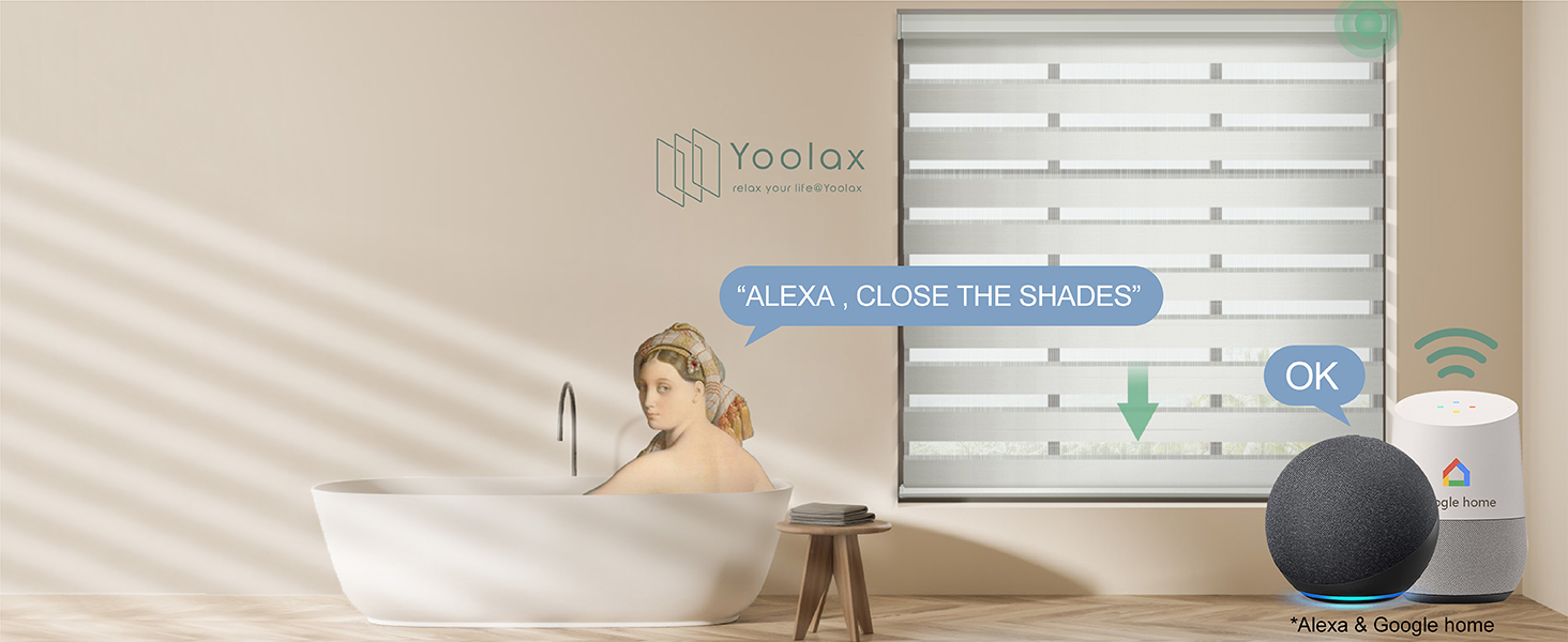 Yoolax Motorized Zebra Blinds Works with Alexa, Light Filtering Day and Night Dual Layer Sheer ...