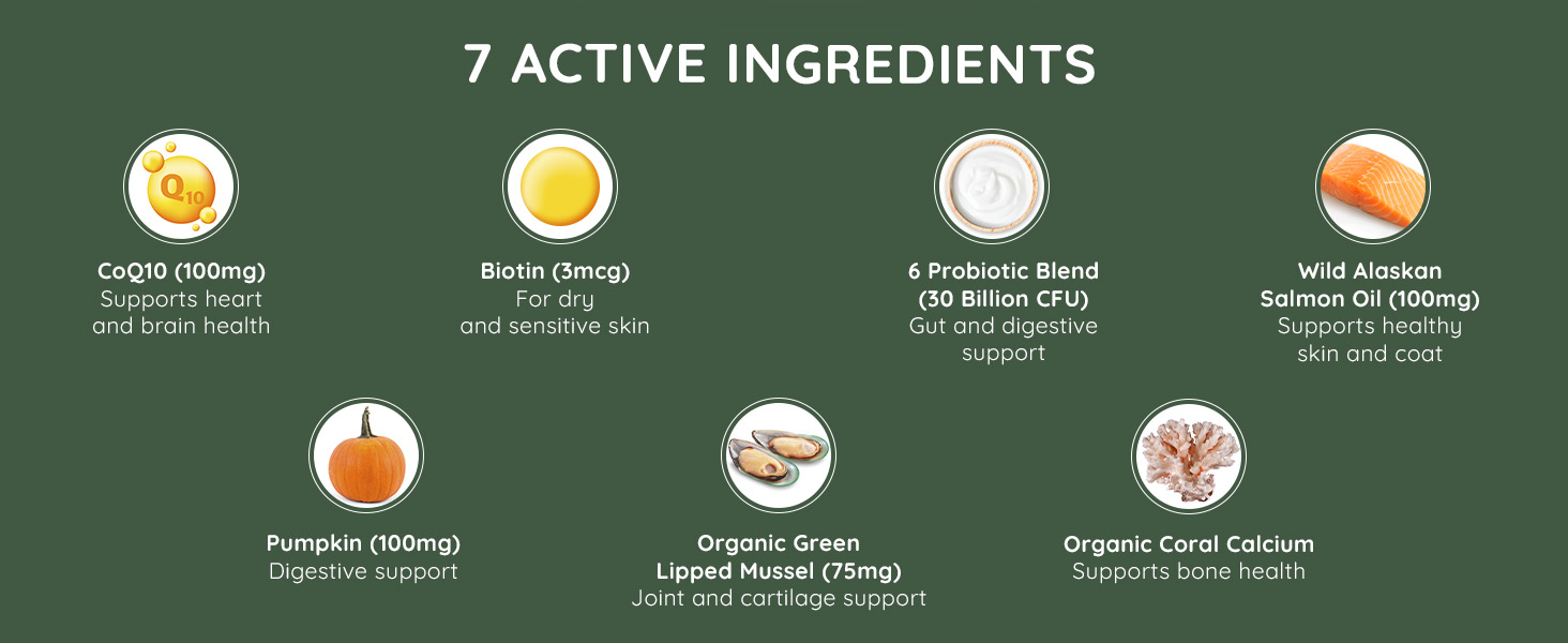 Amazon.com : Premium Dog Multivitamin Supplement (170 Chews) - Mealtime Multi - with CoQ10 ...